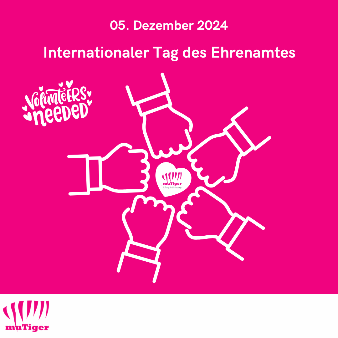 Internationaler Tag des Ehrenamtes